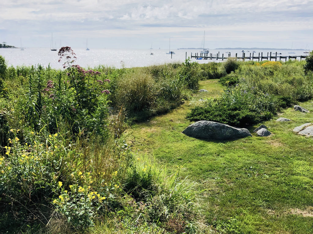 Native Coastal Meadow – Welcome